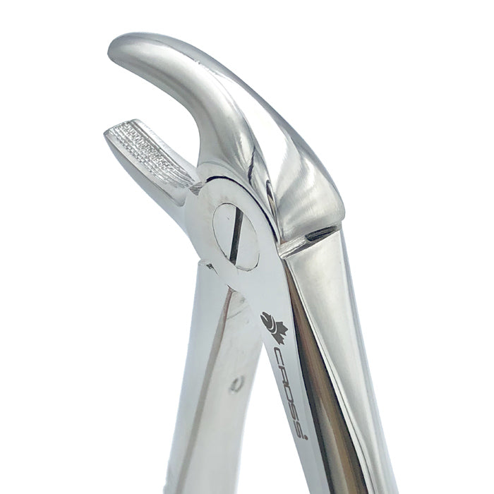 TURNED HEAD FORCEPS, #13